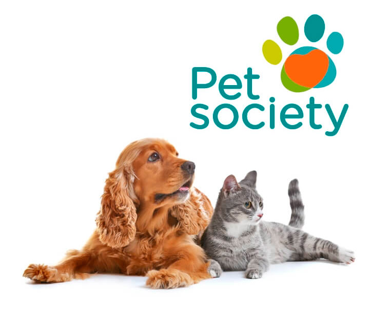 A Hydra | Hydra Pet Society